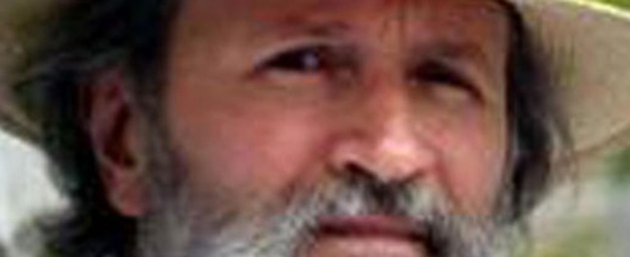 M5s: bufera su Paolo Becchi. Il filosofo: "Non lamentiamoci se qualcuno ...