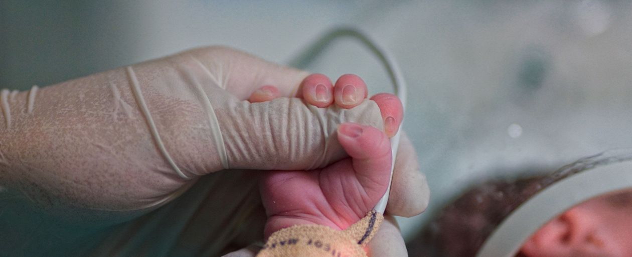Mater semper certa. Perché l’essere umano non è una pera - HuffPost Italia