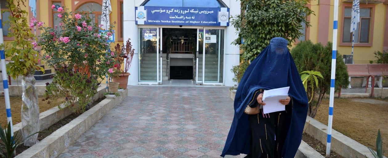Sette ong sospendono l'attività in Afghanistan dopo il bando talebano ...