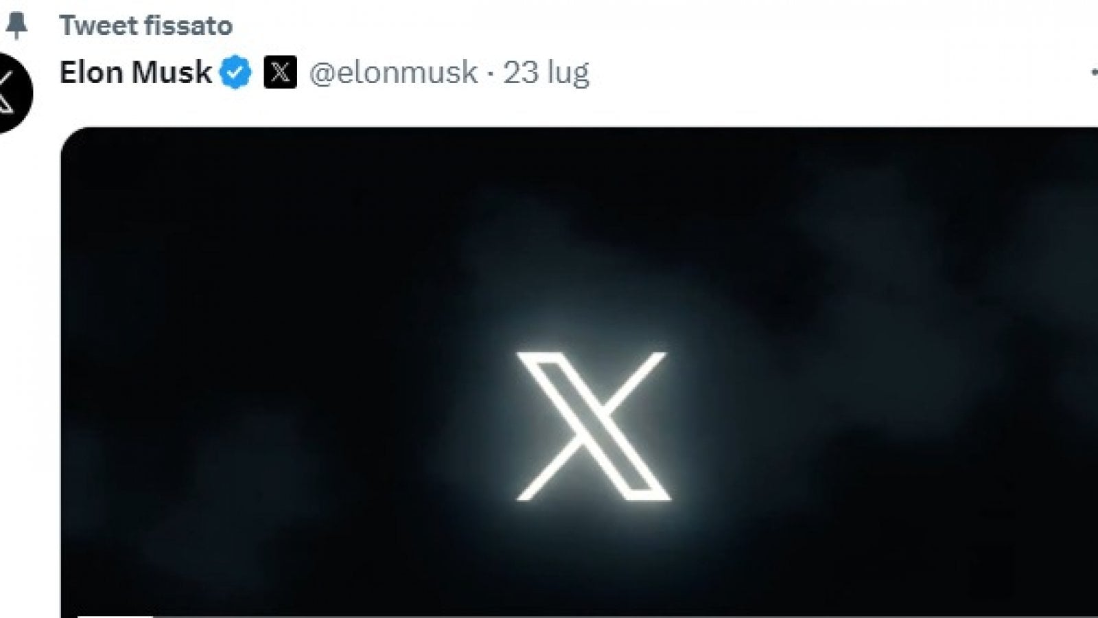 Since 1999. Cosa significa per Elon Musk la "X", il nuovo logo di ...