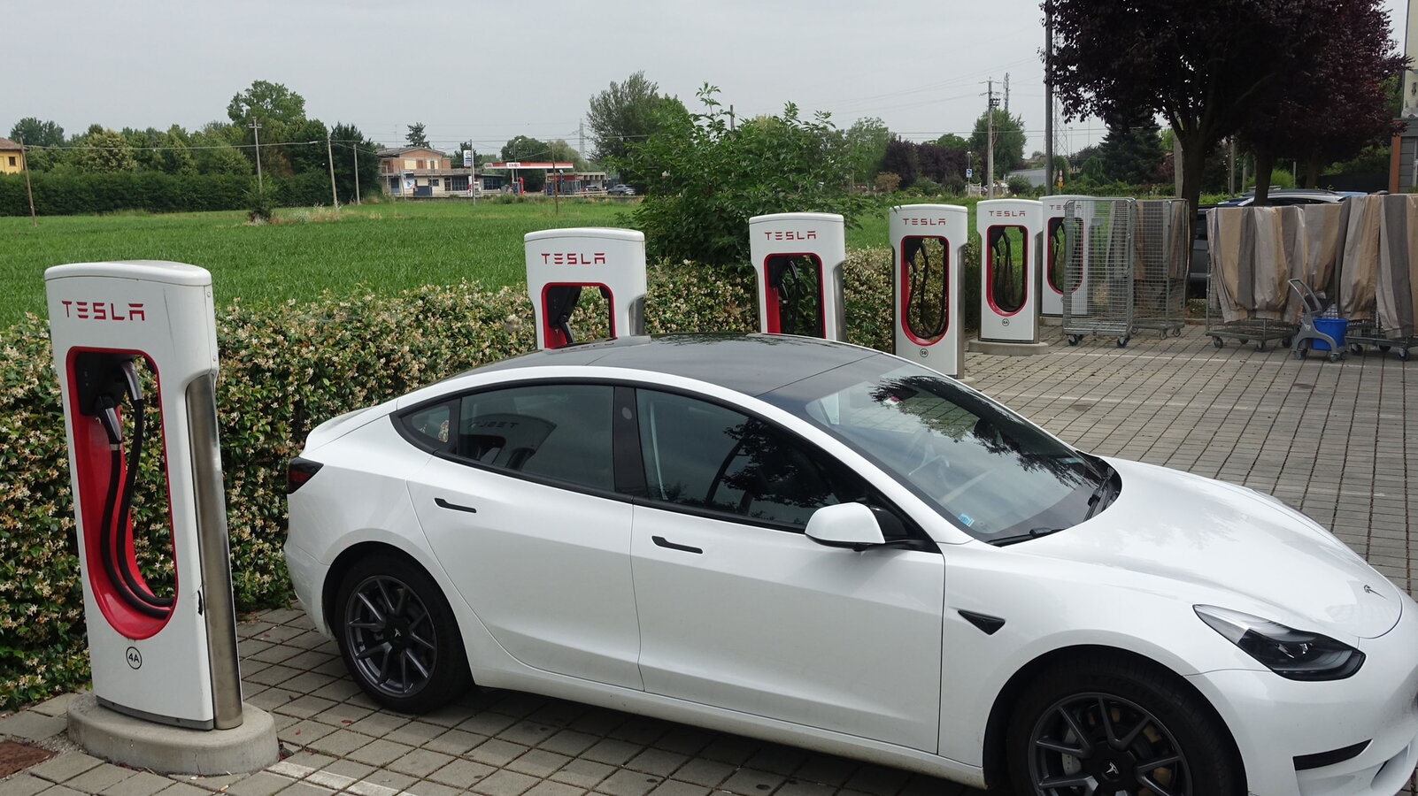 Tesla in caduta libera. L’elettrico europeo va, ma Musk frena ancora ...