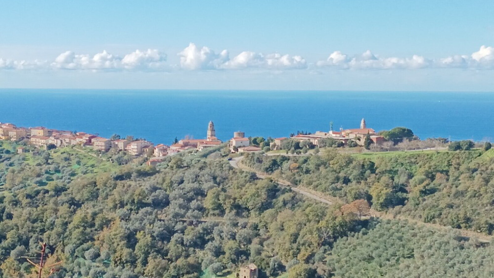 Cilento, dove gli ulivi si affacciano sul mare - HuffPost Italia
