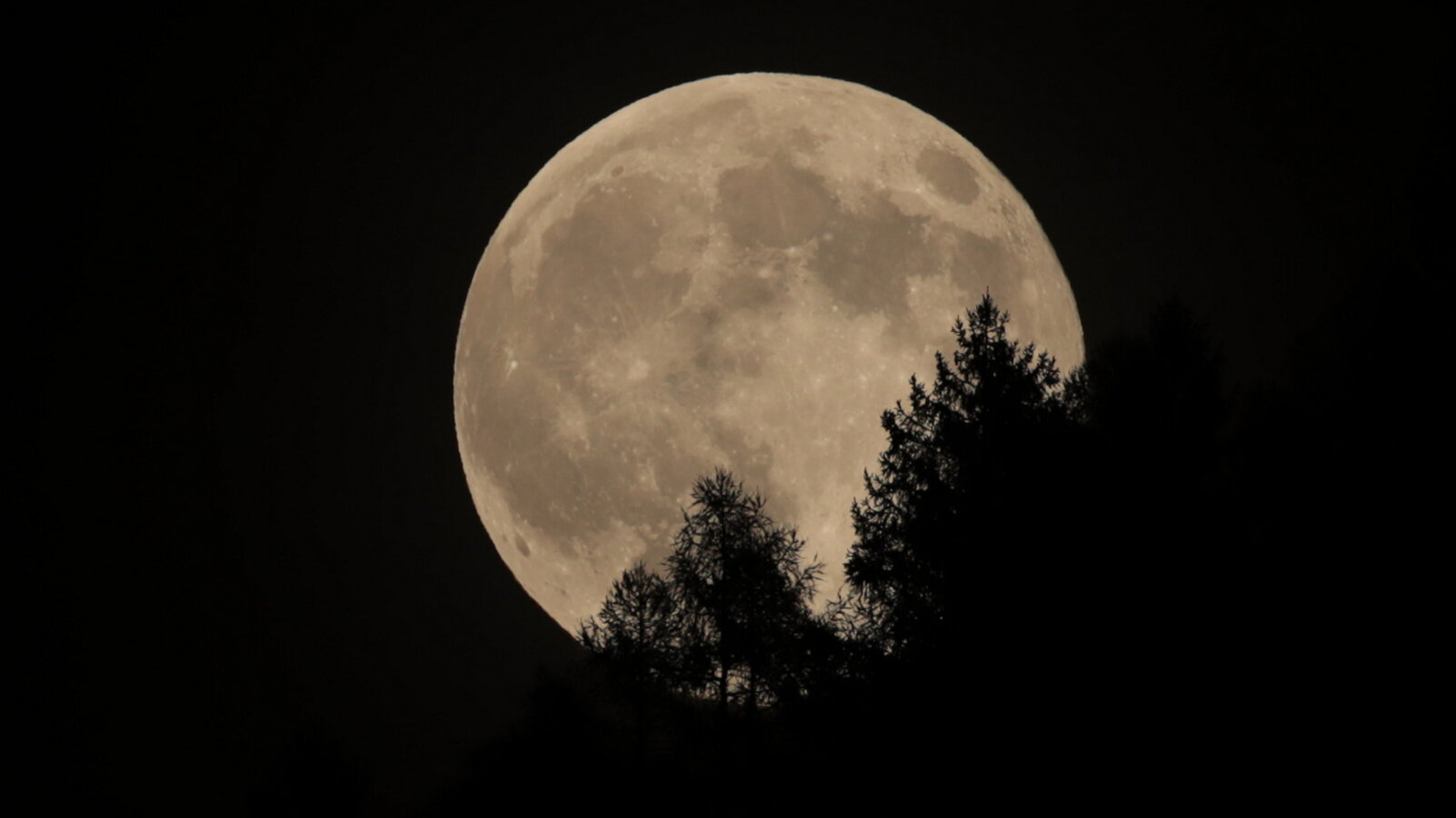 Un italiano intorno alla Luna? No al trionfalismo. L'Italia paga molto ...