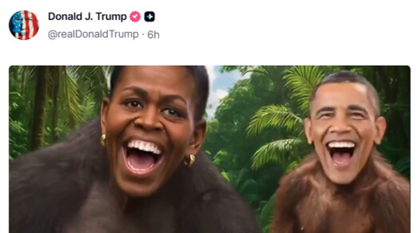 Gli Obama "scimmie", cani che amano la panna, teorie del complotto ...