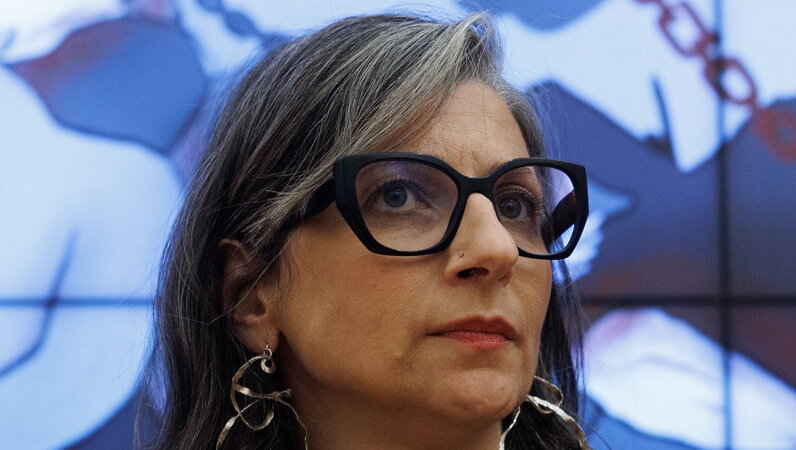 Il report di Francesca Albanese in Senato: "Israele tortura i ...