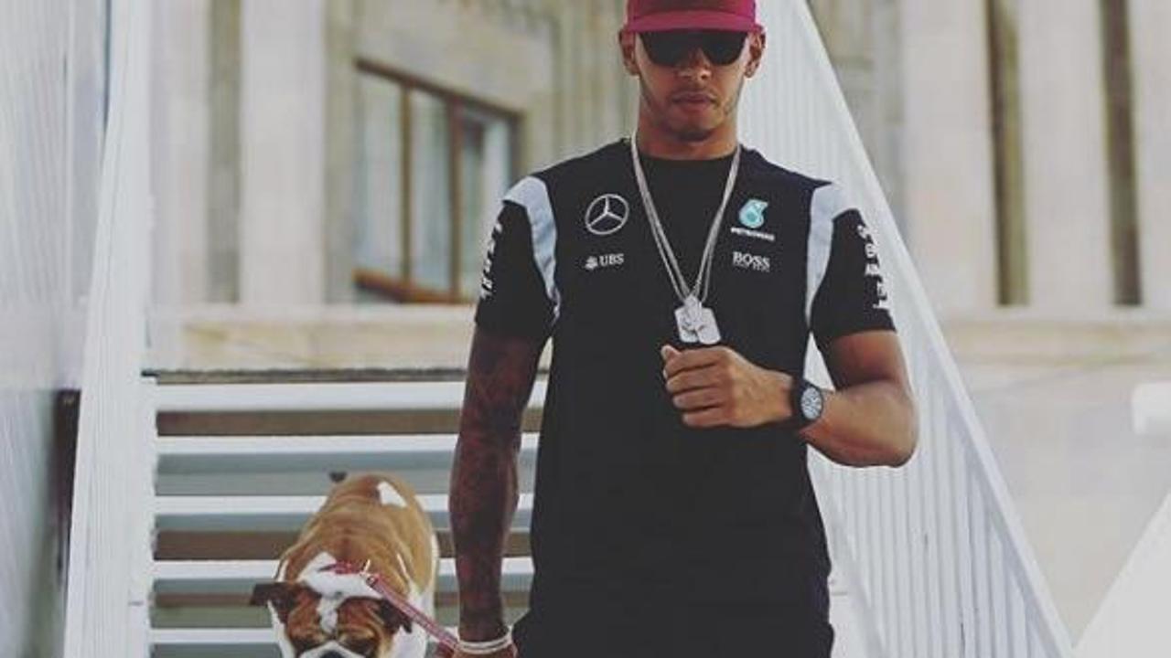 Lewis Hamilton piange la morte per infarto del suo cane Coco: “Il mio ...