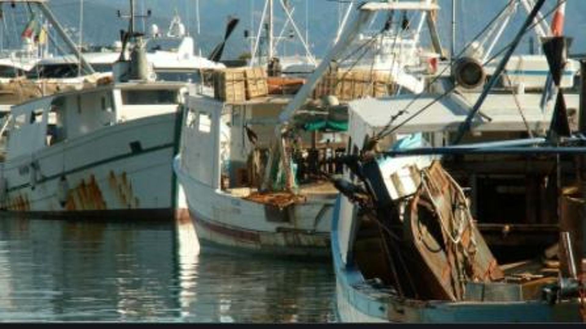 Stretta sulla pesca a strascico, anche dal Levante insorgono i ...