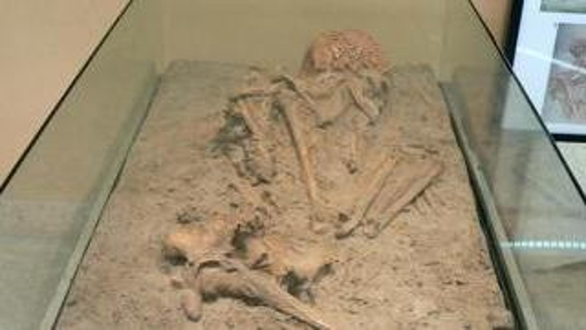 Liguria, l’ultimo rifugio dei Neanderthal - Il Secolo XIX