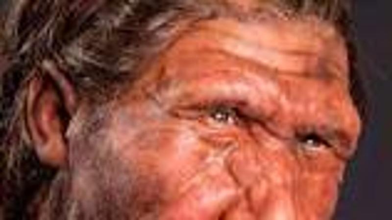 Neanderthal, un raffinato signore delle caverne - Il Secolo XIX