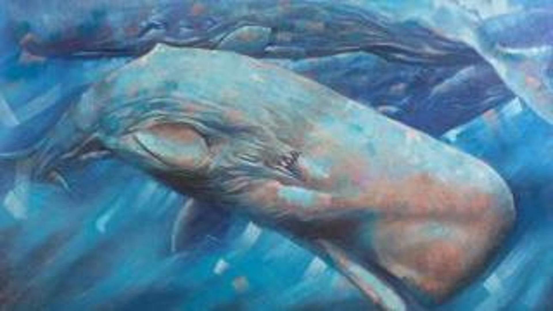 “Artists for whales”, una mostra per salvare le balene - Il Secolo XIX