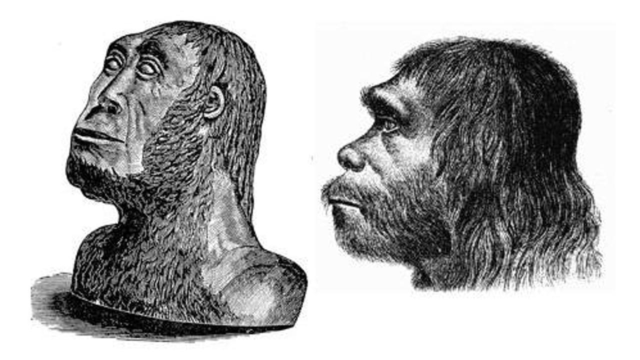 Neanderthal, come è cambiato il modo di rappresentarlo in oltre un ...