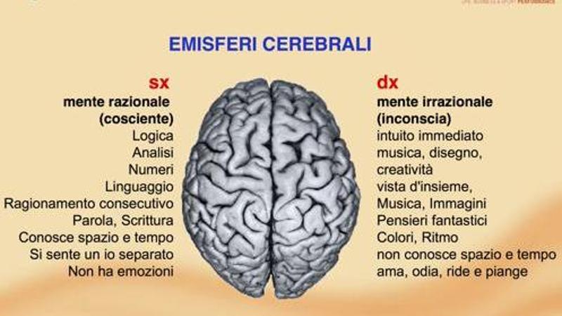 Gli emisferi cerebrali e i percorsi della mente arcaica - Il Secolo XIX