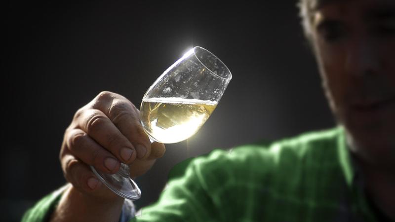 Riecco la sagra del vino bianco a Favale di Malvaro - Il Secolo XIX