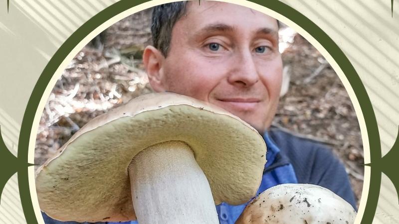 Funghi, parla l’esperto genovese Nicolò Oppicelli. Il suo bestseller ...