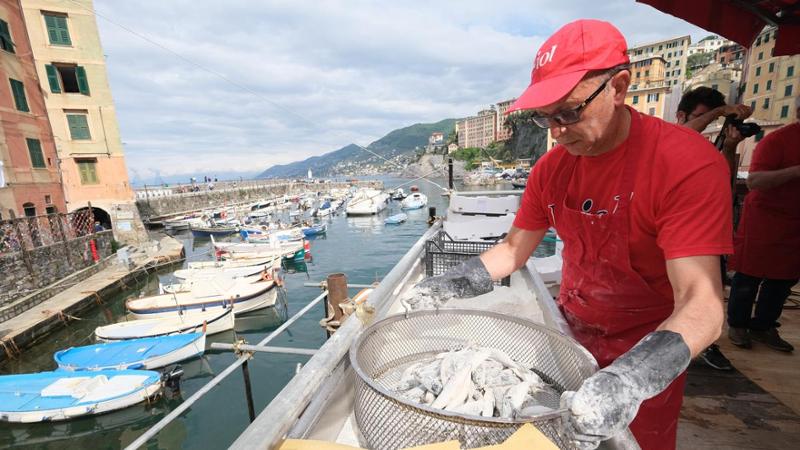 Sagra del Pesce Camogli 2026: programma, tradizione e maxi frittura ...
