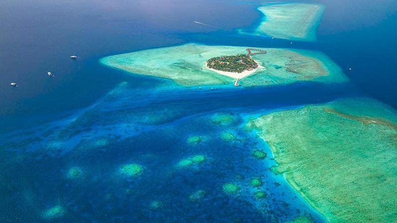 Sub morti Maldive, l’habitat unico delle grotte di Alimathà - Il Secolo XIX