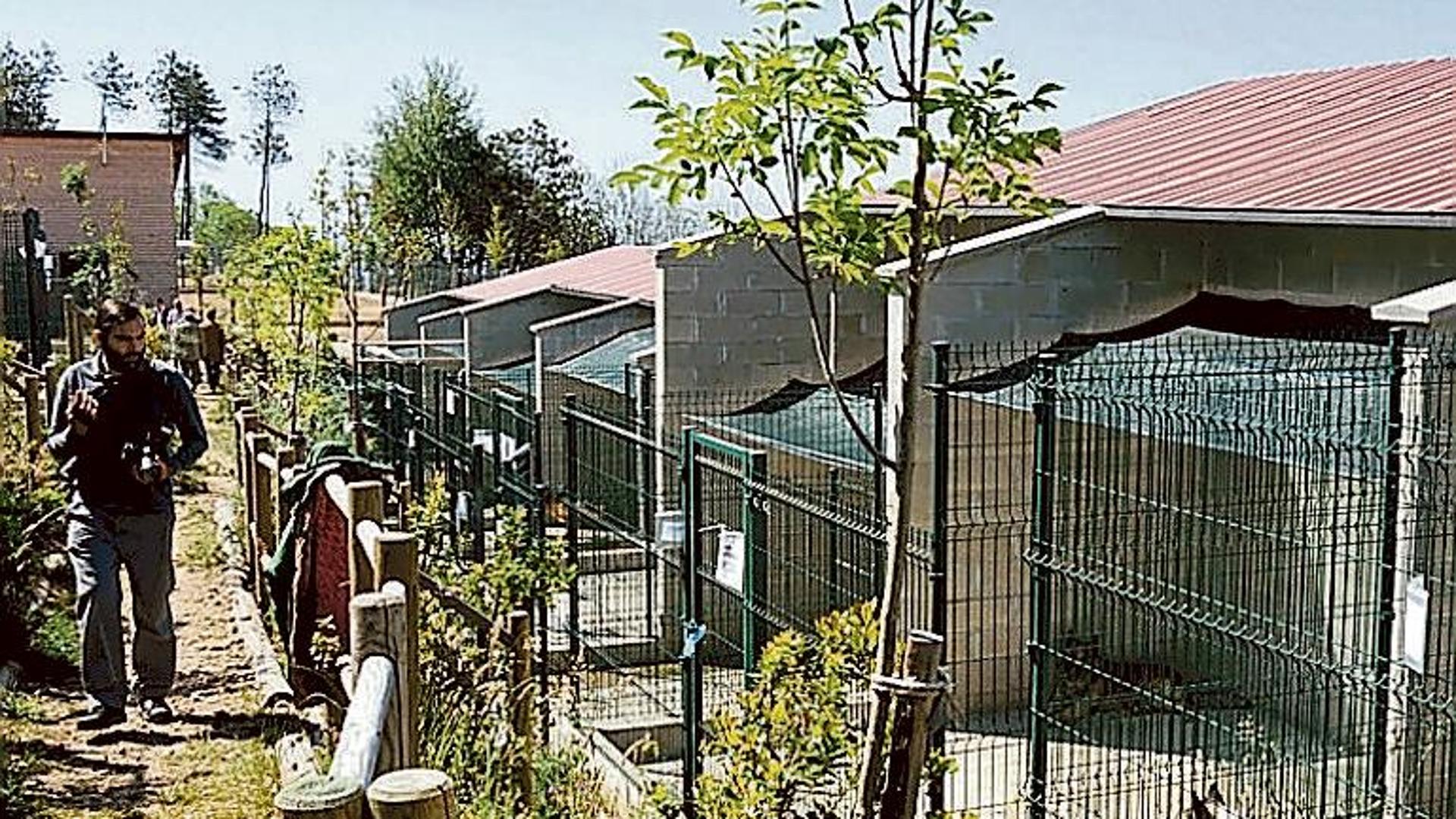 Blitz a Monte Contessa, sequestrati 10 cani e 3 gatti. Il centrodestra ...