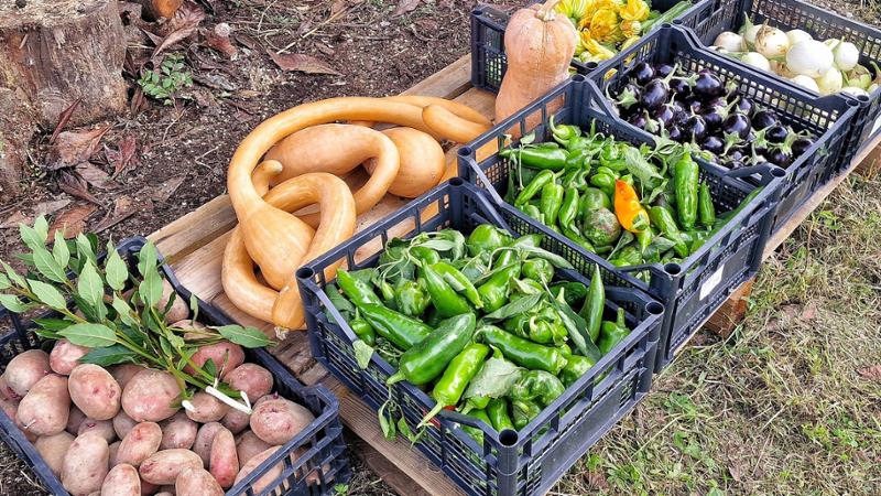 Agricoltura e innovazione in Liguria, bando da 19 milioni di euro - Il ...