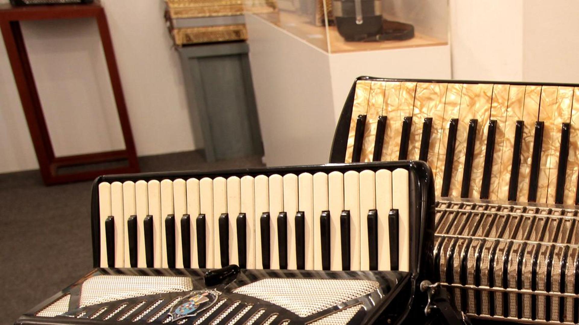 Museo della fisarmonica La minoranza attacca «Ci sono idee confuse ...