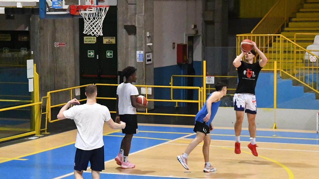 Termostato rotto al palasport di Pavia: troppo caldo e la bolletta fa ...
