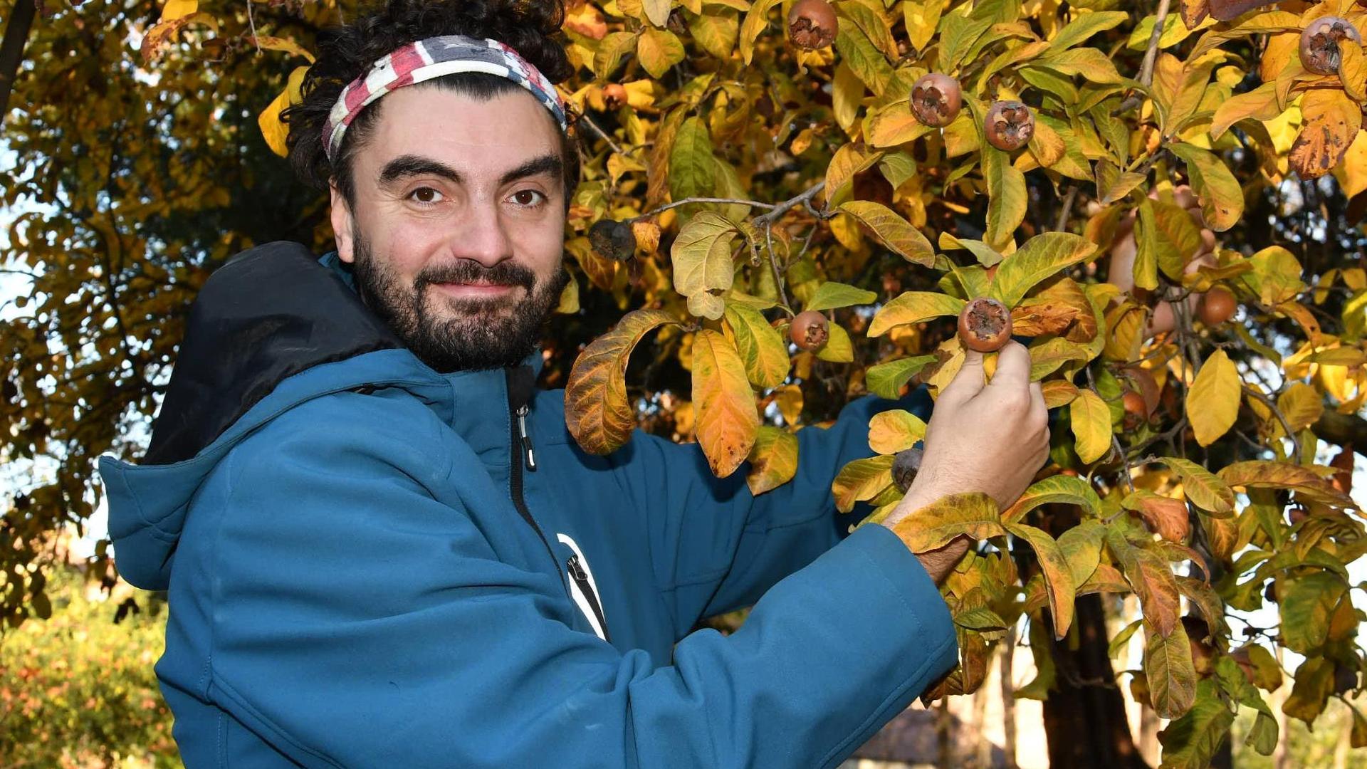 Il nespolo europeo è rustico e resistente ai climi freddi un campione ...