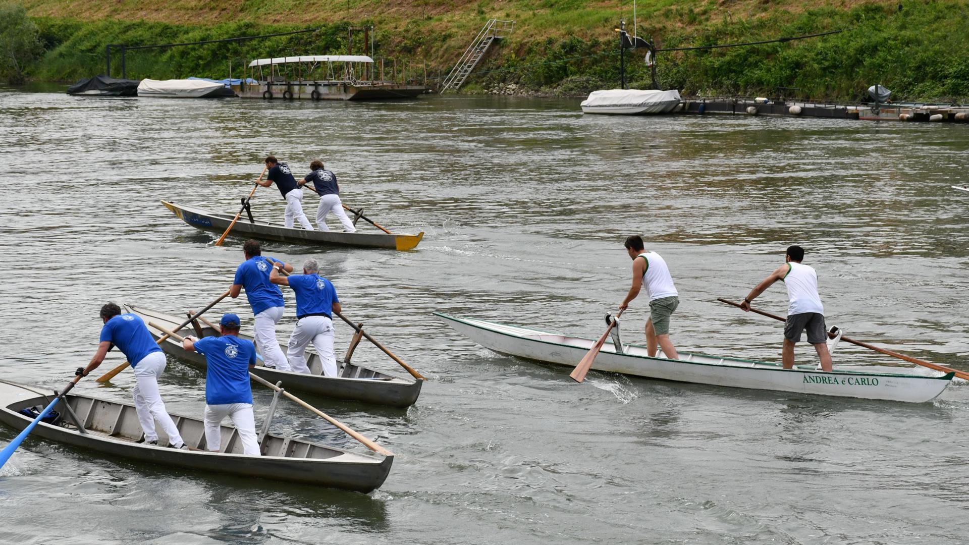 Gara di barcé a Pavia, le immagini - La Provincia Pavese