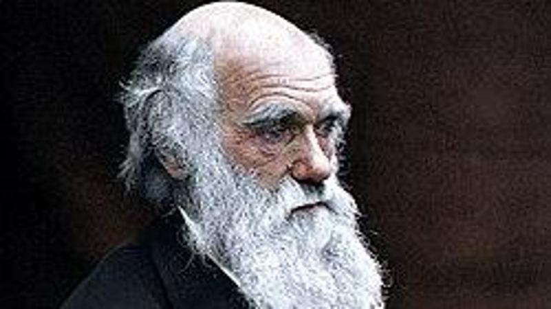 Dalle piante resistenti al Dna delle popolazioni: in ateneo c’è il ...