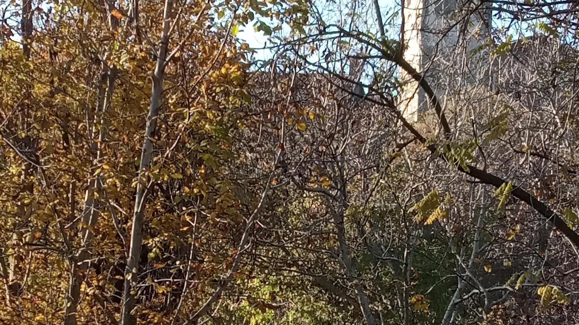 Scoprire i colori caldi dell’autunno a Loranzè con la Marenda sinoira ...