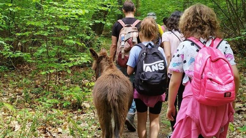 Torna Asinaria a Loranzè Domenica passeggiata tra Val di Chy e Fiorano ...