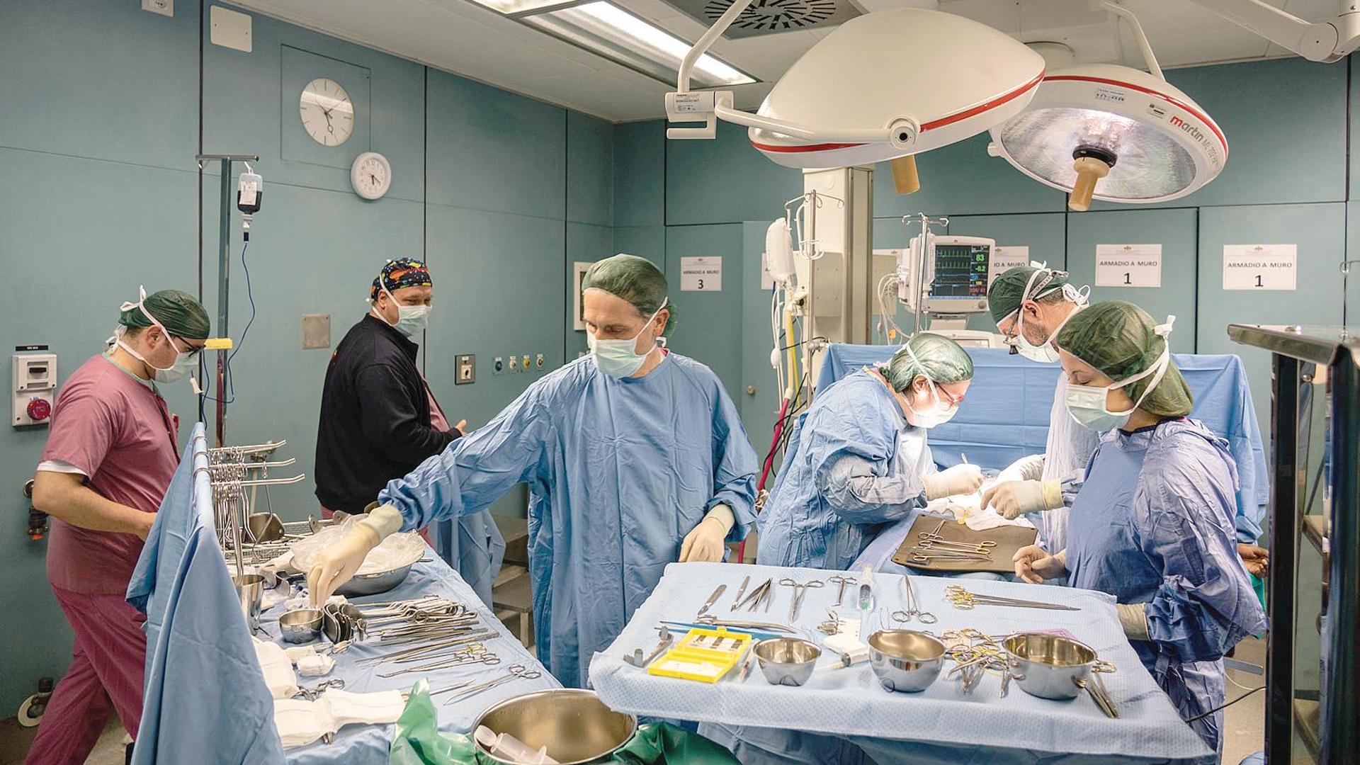 Trapianti di rene: Torino prima in Italia per qualità e numeri - La Stampa