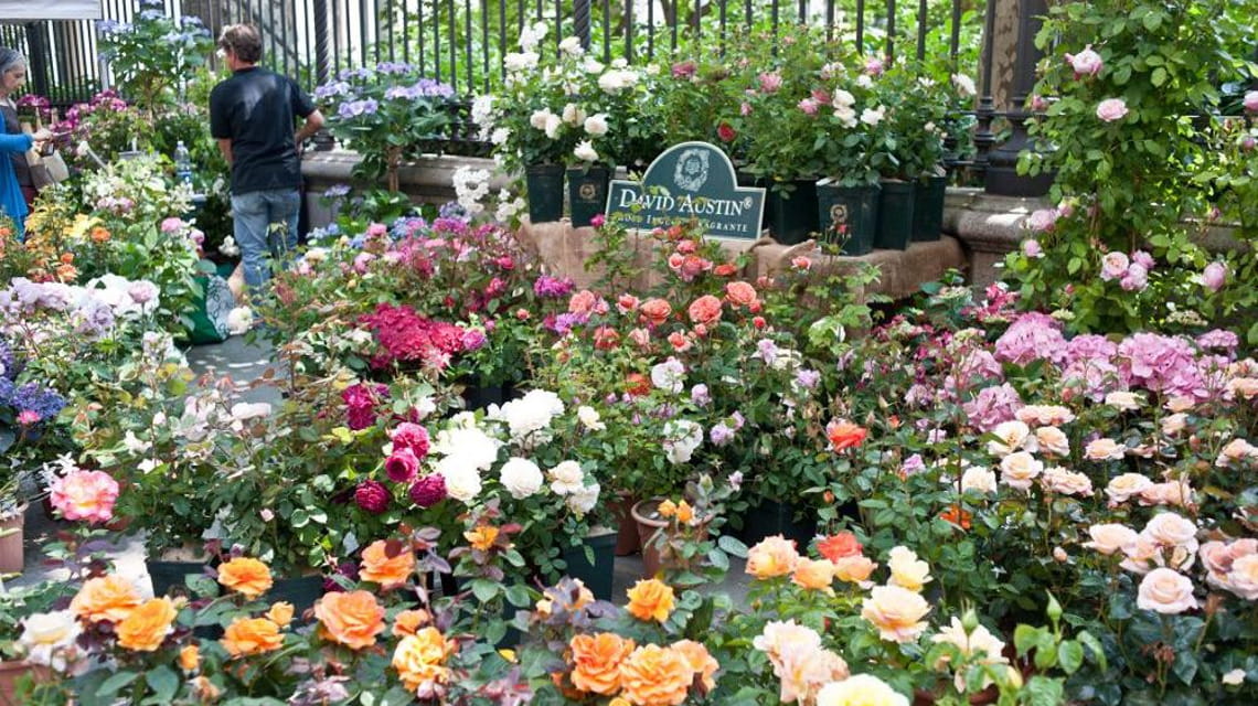 Piante e fiori invadono il centro di Torino: torna Flor e raddoppia a ...