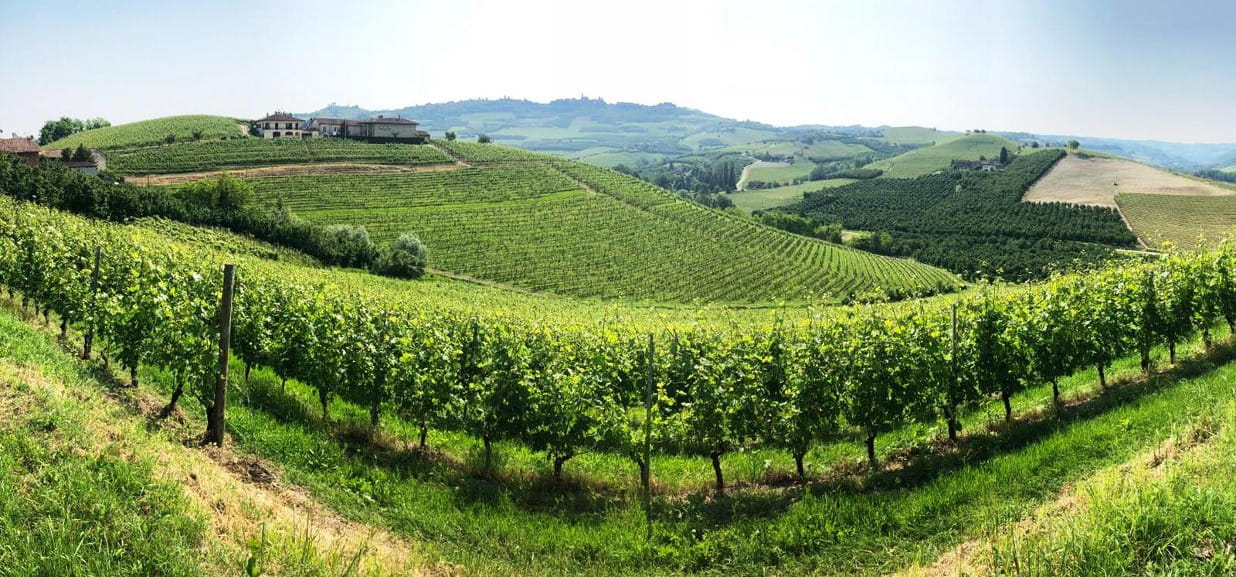 Il Barolo solidale del vigneto storico ai piedi del castello di ...