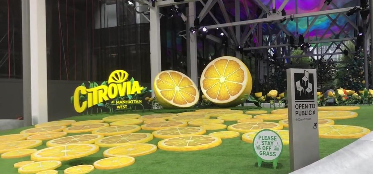 Ecco Citrovia, a New York un cantiere diventa una foresta di limoni ...