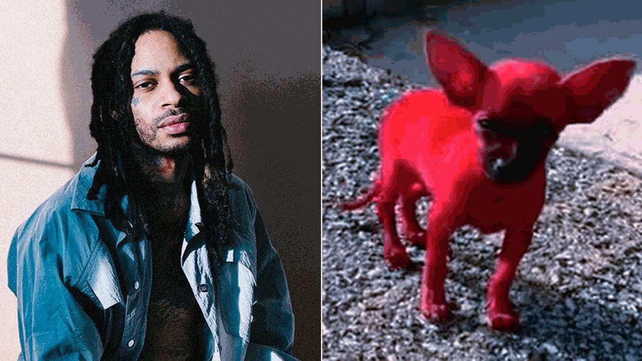 Tinge il suo cane Chihuahua di rosso: scoppia la polemica sul rapper ...