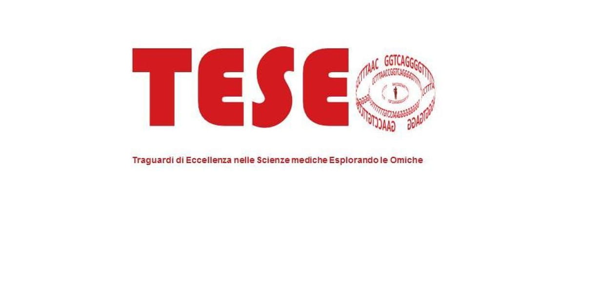 Teseo, un progetto su quattro areee di ricerca per l’identificazione ...