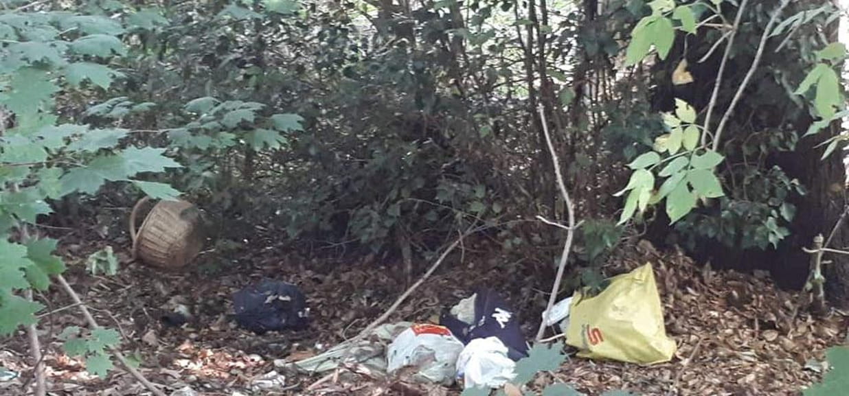 Sacchi pieni di calcinacci sulla strada per Andorno: “Frutto di lavoro ...