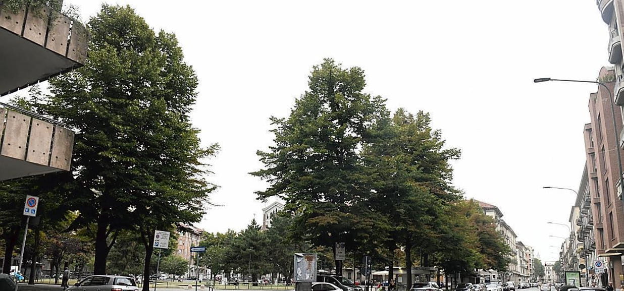 Le indagini sul feto gettato in un cespuglio a Torino: si sospetta un ...