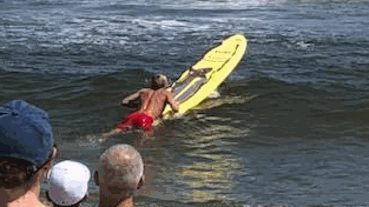 Squalo spiaggiato, un bagnino lo salva riportandolo in mare sulla ...