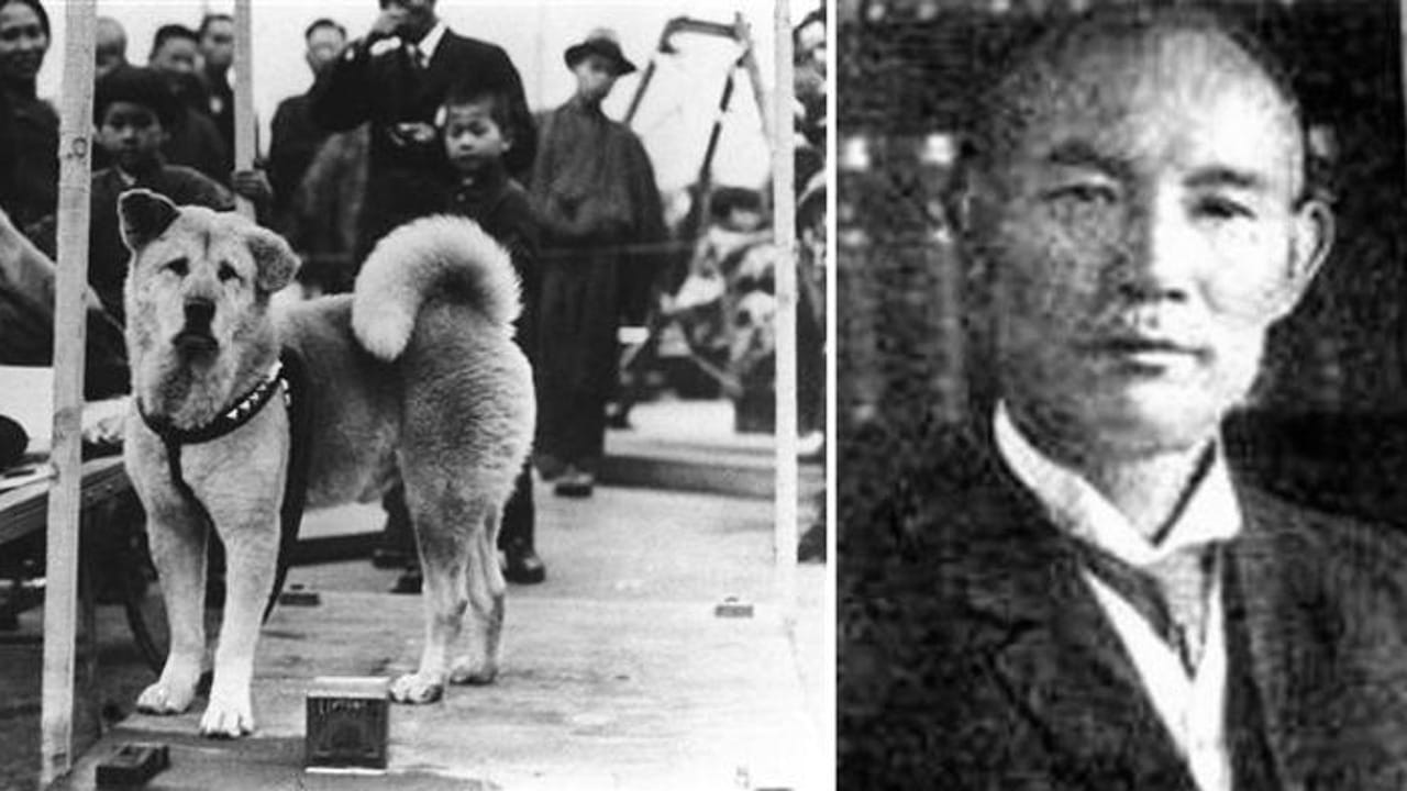 80 anni fa moriva Hachiko, cane simbolo di fedeltà - La Stampa