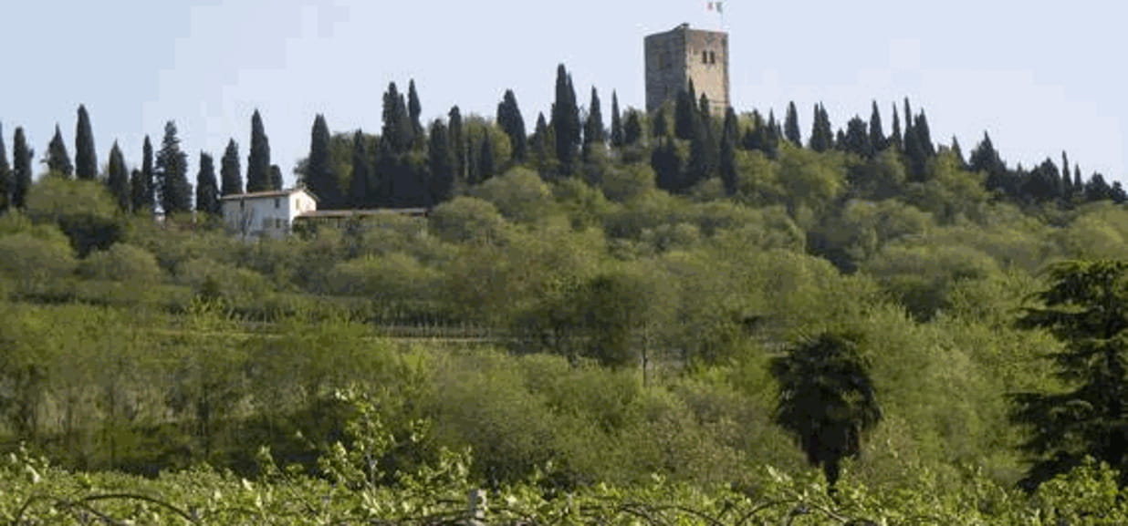 In bicicletta è dolce la scoperta dei colli mantovani - La Stampa