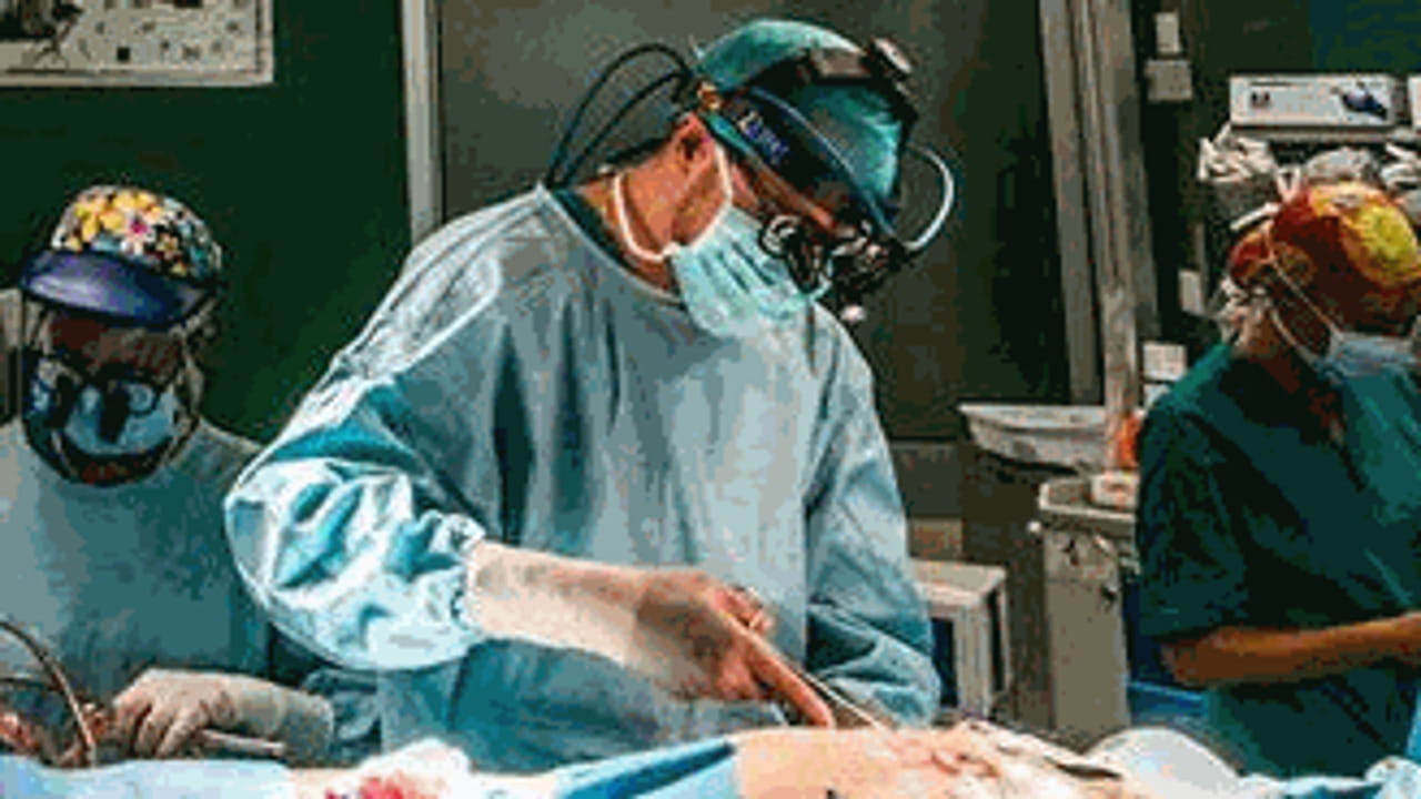 Urban Legend Or Gruesome Reality? Immigrants And Human Organ ...