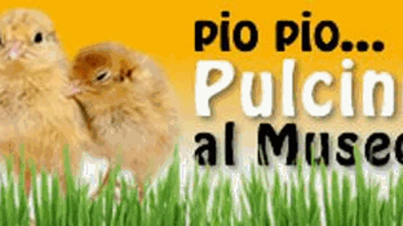 Al museo con i pulcini - La Stampa