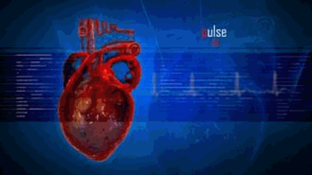 Cellule cardiache trasformate - La Stampa