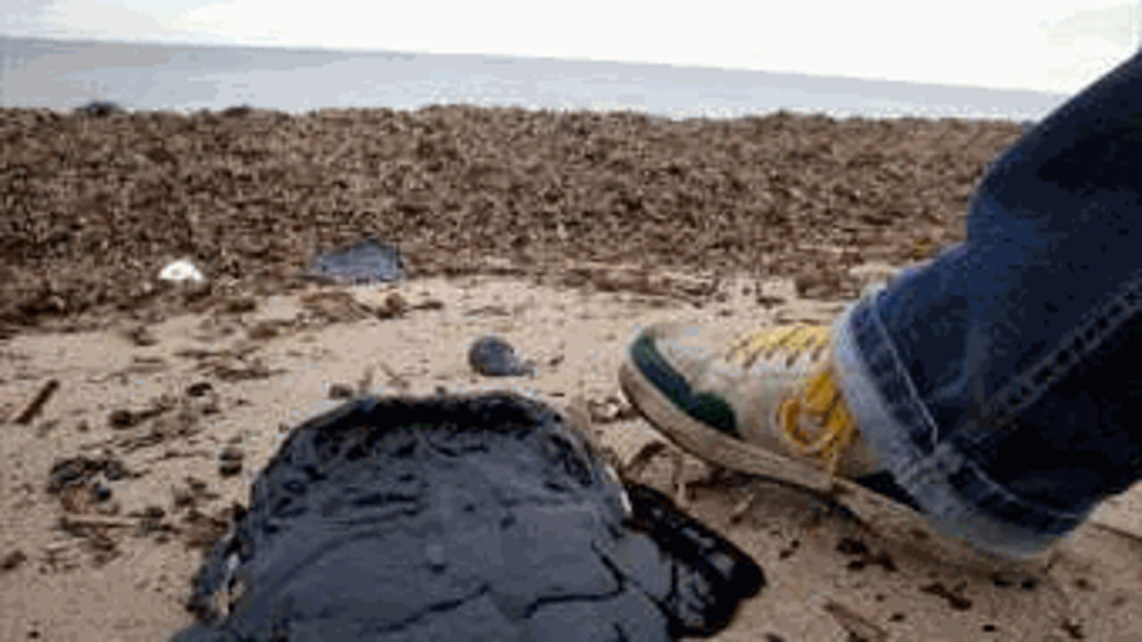 Marea nera: è allarme anche a Stintino - La Stampa