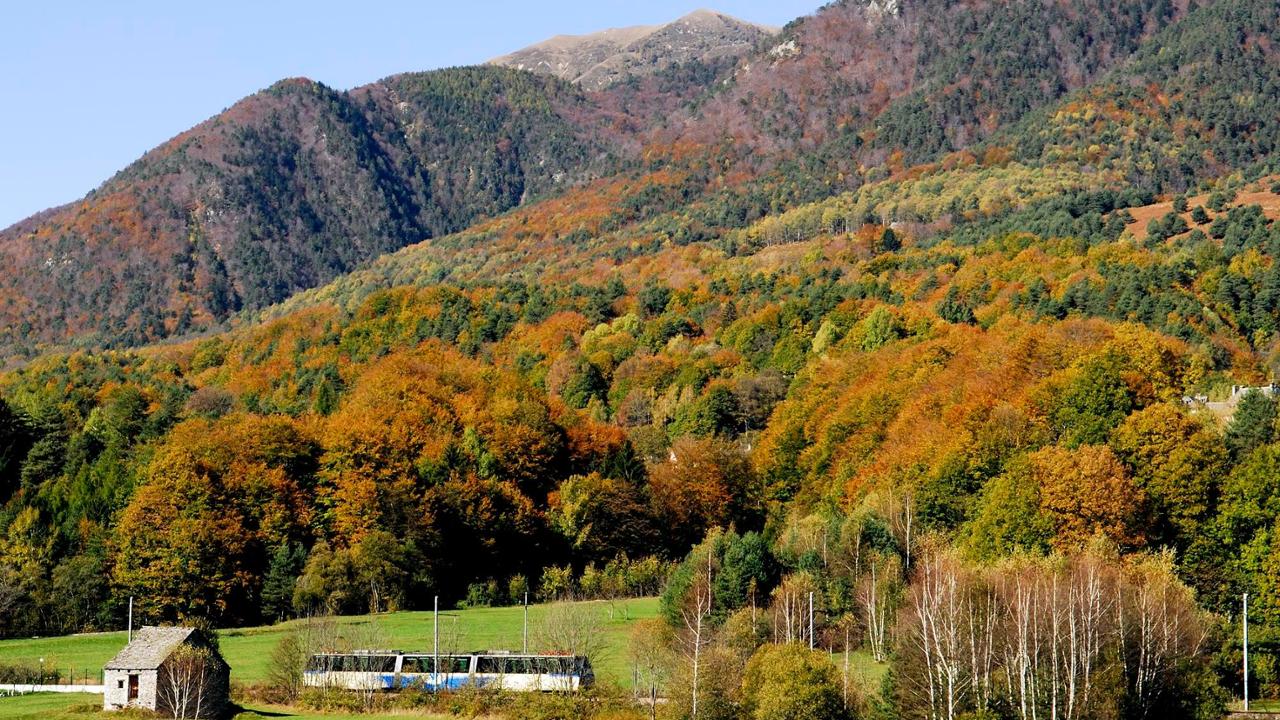 Foliage: tutti i colori dell’autunno da godersi a piedi, in sella e in ...