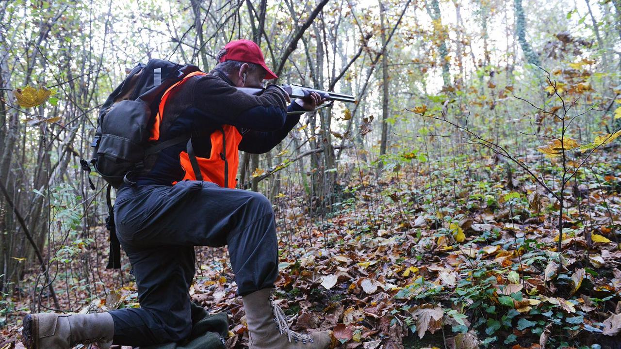 Spara E Uccide Per Sbaglio Lamico Durante Una Battuta Di Caccia Nel 0112