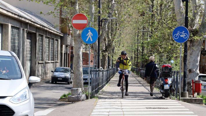 Asti, in viale Pilone si abbattono altri sei platani - La Stampa