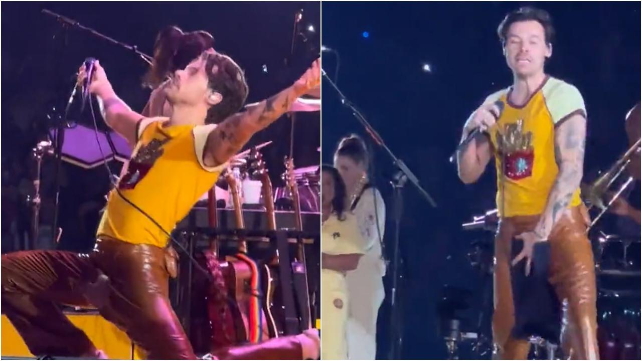 Harry Styles, momento imbarazzante durante lo show: si inginocchia ma ...