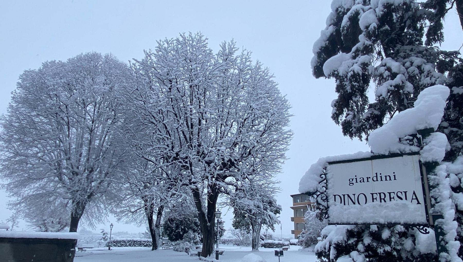 Il ritorno dell'inverno, Cuneo si è risvegliata in un paesaggio di neve ...