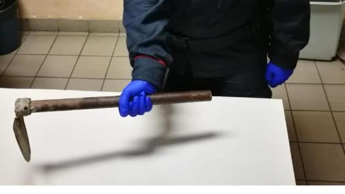 Rivalta, tentò di uccidere papà con zappa: caso alla Corte ...